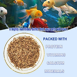 Appetizing Mealworms with Dried River Shrimp (8oz) All Natural 100% Non-GMO,Surf & Turf, Chicken, Fish, Ducks, Wild Birds, Turtles, Hamsters, Fish, and Hedgehogs