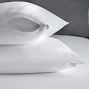 Sealy Clean Luxury 100% Cotton Zippered Encasement Stain Release Pillow Protector- King Size- 2 Pack