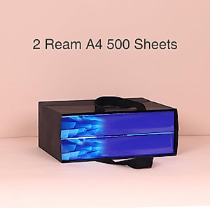 PAPERIST 12pcs, 11.8x4.7x9 sturdy durable gift bag, Black gift bag with Black cotton handle, Gift bag for Wedding, Christmas, Birthday Party, Bridal Shower, Baby Shower, Medium size gift bag