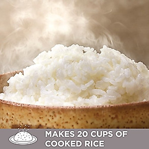 BLACK+DECKER RCR520S All-in-One Cooking Pot, 20-Cup Cooked/10-Cup Uncooked Rice Cooker, Slow Cooker and Food Steamer with Saute Function, Stainless Steel