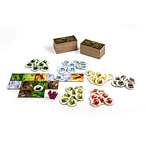 Blue Orange Games Dragomino, My First Kingdomino- Kid Strategy Game for 2 to 4 Players- Ages 5 and Up