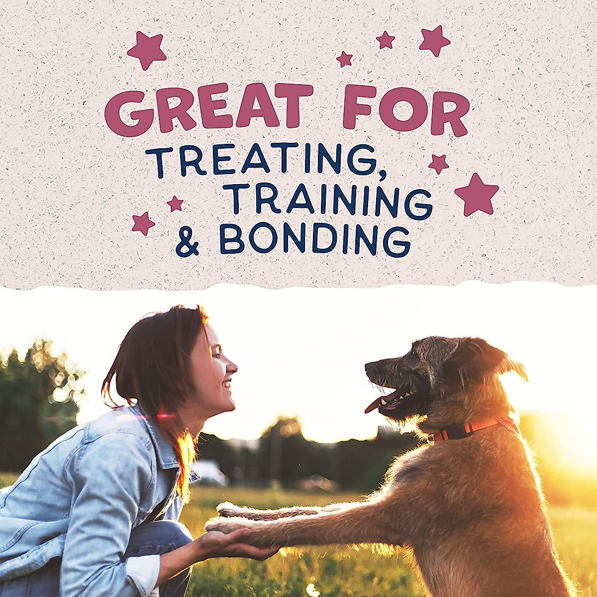 Natural Balance Limited Ingredient Rewards Jumpin' Stix, Grain-Free Dog Treats for Adult Dogs of All Breeds, Venison Recipe, 4 Ounce (Pack of 1)