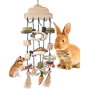 Bissap Rabbit Chew Toy, Bunny Cage Hanging Chew Toys and Treats Wooden with Snacks for Guinea Pigs Chinchillas Hamsters Rats and Other Small Pets Teeth Grinding
