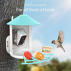 NETVUE Birdfy Pro Perch - Wider Extension Perch to DIY Add-ons Including Suet Ball, Mini Hummingbird Feeder, Fruit Holder, Jelly Feeder and Welcome Card, Ideal for Bird Lover