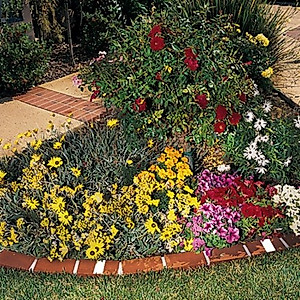 Argee RG840S Let's Light It 40-Foot Decorative Plastic Brick Edging with 6 Built-In Solar Lights, Terra Cotta