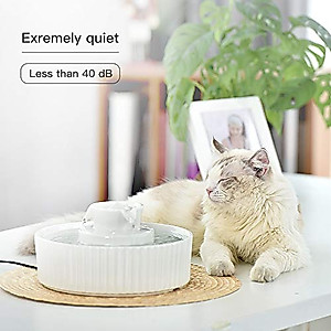 Cepheus Ceramic Pet Drinking Fountain, Ultra Quiet Cat Water Fountain, 2.1L Drinking Fountains Bowl for Cat and Dogs with Carbon Filter and Foam(White)
