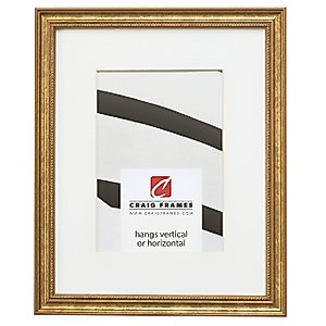 Craig Frames 314GD 16 x 20 Inch Ornate Gold Picture Frame Matted to Display a 11 x 14 Inch Photo