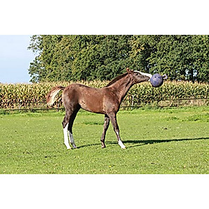 Horsemen's Pride 10" Jolly Ball Horse Toy, Blue, XLARGE, All Breed Sizes
