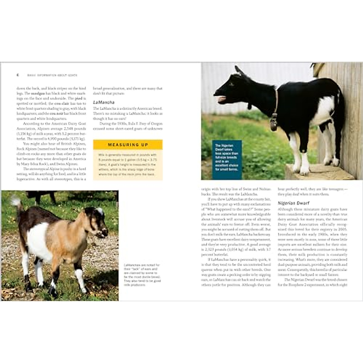 Storey's Guide to Raising Dairy Goats, 5th Edition: Breed Selection, Feeding, Fencing, Health Care, Dairying, Marketing