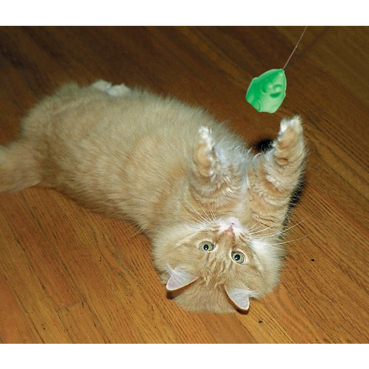 Cat Dancer Products Catnip Interactive Cat Toy for Exercise, 2 Toys in 1, Double Ended for Twice The Fun