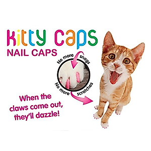 Kitty Caps Nail Caps for Cats | Safe, Stylish & Humane Alternative to Declawing | Covers Cat Claws, Stops Snags and Scratches, Small (6-8 lbs), Hot Purple & Hot Pink
