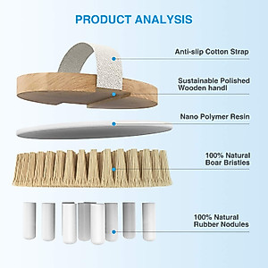 Dry Brushing Body Brushes- Round Exfoliating Brush for Cellulite and Lymphatic Drainage Massager, and Body Exfoliating,Improve Your Circulation-Soft Massage Nodes