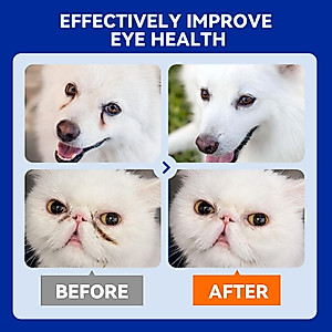 Pointail Eye Drops for Dogs & Cats, Gentle Formula Dog Eye Wash, Dog Eye Rinse to Remove Debris, Prevent Tear Stains, Relieves Eye Irritation, 4oz