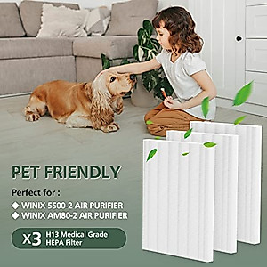 5500-2 Air Purifier Filter Replacement For Winix, 116130 Replacement Filter H Compatible with Winix 5500-2 and AM80 Air Purifier, 4 Pack HEPA Filter Only