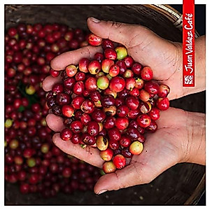 Juan Valdez Gourmet Balanced Colombian Coffee, Organic Whole Bean, 17.6 oz