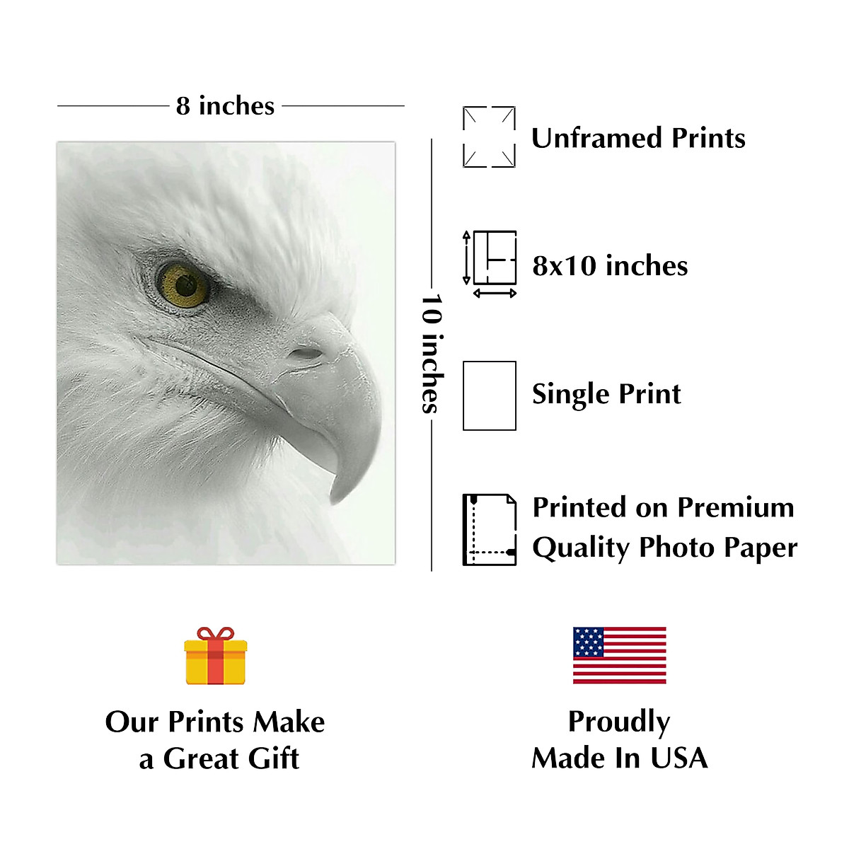 "Fearless Bald Eagle" Wall Art Print - 8x10” Eagle Photo Print Ideal for Home Decor, Office, School & Cave Decor, Great Patriotic Gift! Unframed