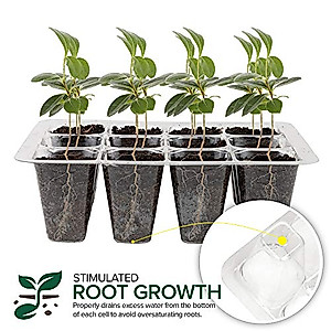 Seed Starter Kit (10 Pack) 12 Cell (120 Total) Seedling Plant Germination Tray for Gardening, Set with: Garden Dome Lids, Base Seed Trays for Soil, Planting Hand Tools, Dibber, Widger, & Plant Tags