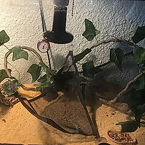 kathson Bearded Dragon Hammock Lounger Reptile Breathable Mesh Hammocks Hanging Vines Plants Tank Accessories Habitat Decor for Lizard Gecko Snake Chameleon Iguana Amphibians(3 PCS)