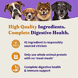 Halo Holistic Dog Food, Complete Digestive Health Cage-Free Chicken and Brown Rice Recipe, Dry Dog Food Bag, Small Breed Formula, 3.5-lb Bag
