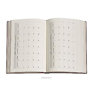 Inkblot (Old Leather Collection) Midi 12-month Dayplanner 2024