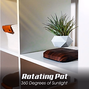 LEVINA Floating Plant Pot - Authentic Levitating Plant Pot for Air Plants, Magnetic Rotating Air Bonsai Planter, Floating Planter, Bonsai Pot, Unique Decor Air Plant Pot, Room Decor Tech Toys