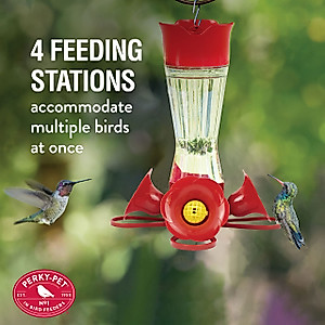 Perky-Pet 203CPBN-2 Pinch-Waist Glass Hummingbird Feeder with Perches, Built-in Ant Moat and Bee Guards - Outdoor Garden Décor - 2 Pack