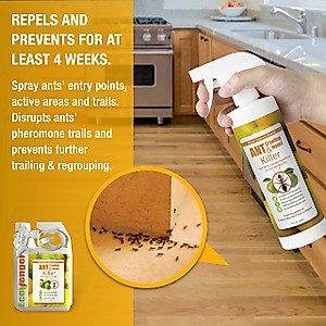 EcoVenger Ant Killer & Crawling Insect Killer (Citrus Scent) 480 ML, Kills Fast in Minutes, Also Kills Spiders, Centipedes & More, Repels with Residual, Natural & Non-Toxic, Safe for Children & Pets