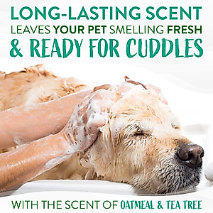 TropiClean Medicated Dog Shampoo for Allergies & Itching | Tea Tree & Oatmeal Shampoo for Sensitive Skin | Natural Pet Shampoo | Made in USA | 20 oz