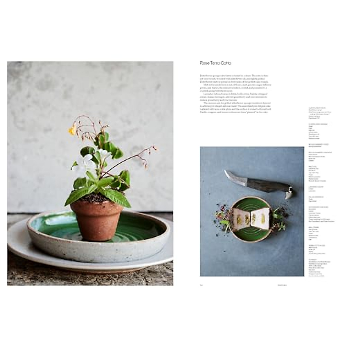 Noma 2.0: Vegetable, Forest, Ocean