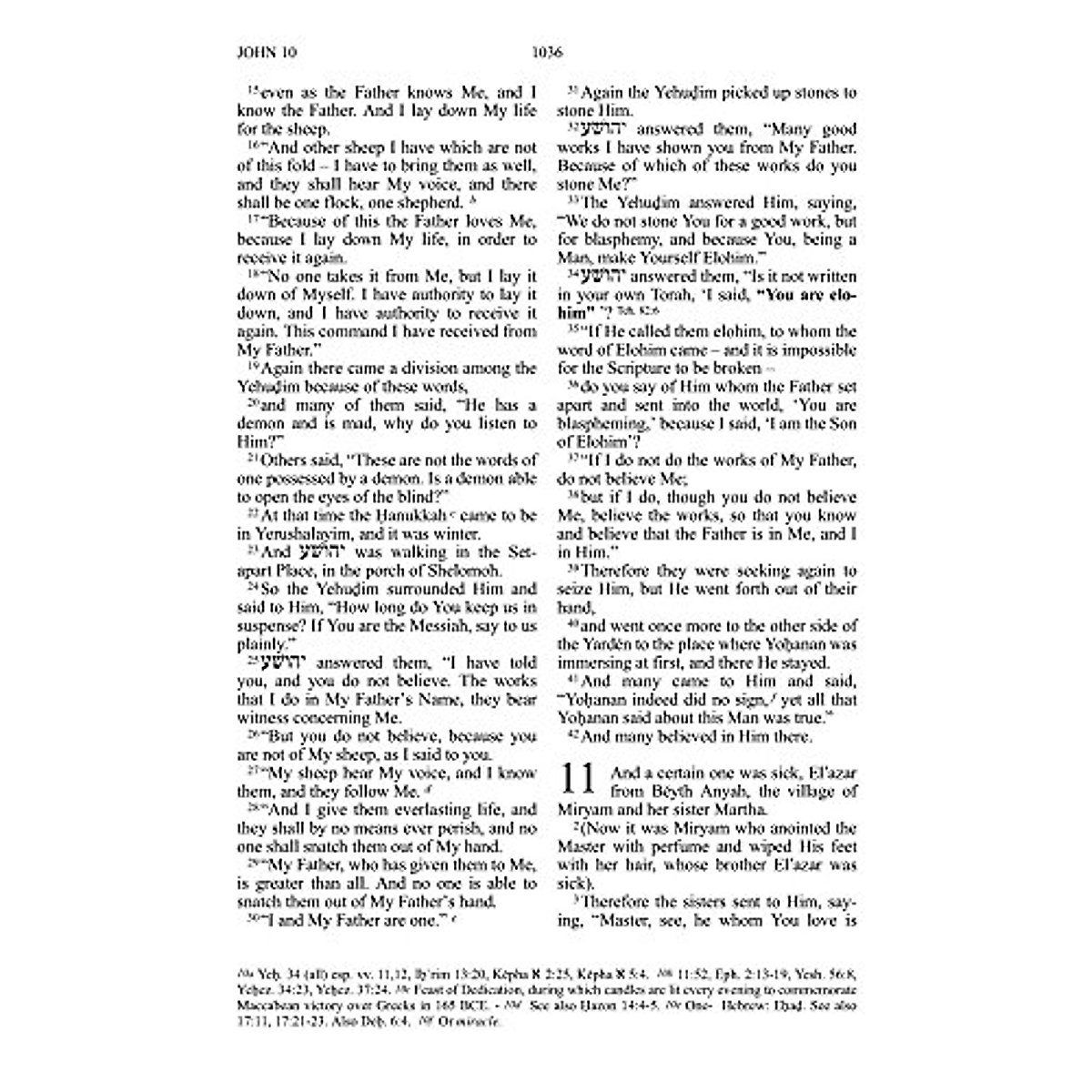 The Scriptures Large Print Duotone Charcoal Edition (ISR)