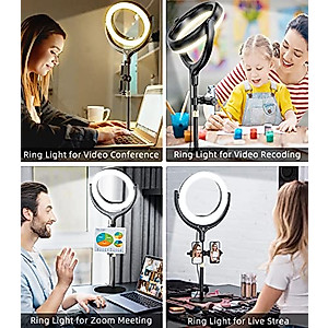 Ring Light with Stand and Phone/Ipad Holder, 10.5'' Desk Zoom Lighting for Computer, Laptop Light for Video Conferencing, Zoom Meetings, Live Streaming, Makeup, Video Calls, Vlog, YouTube, TikTok