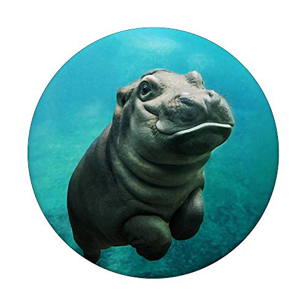 Baby Hippo Hippopotamus Exotic African Animal PopSockets PopGrip: Swappable Grip for Phones & Tablets