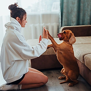 Purina DentaLife Daily Oral Care Chews Dental Dog Treats - Small/Medium Snacks for Pups 20-40 Lbs (25 Count) - Plus Rope Toy and Fun Animal Facts Booklet Bundle