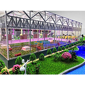 MOMOONNON 32 Pieces Model Trees 3.5cm - 10cm Mixed Model Tree Train Scenery Architecture Trees Fake Trees for DIY Crafts, Building Model, Scenery Landscape Natural Green