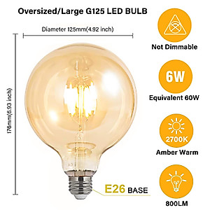 LED Bulbs 60 Watt Equivalent, 2 Pack 6W G125 LED Globe Bulbs, Antique Vintage Light Bulbs Amber, E26 LED Edison Light Bulb, 2700K 800LM Warm White, E26 Standard Base, Non-Dimmable