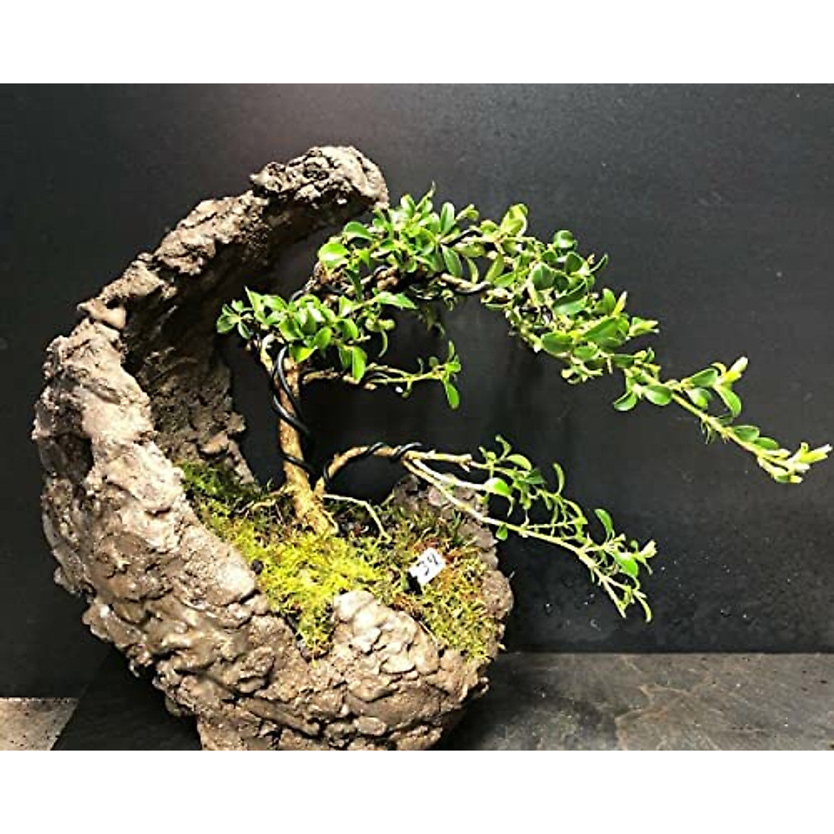 3 Pieces 10m Bonsai Wire Craft Aluminium Wire Bonsai Training Tools - Black (1.0 mm / 1.5 mm / 2.0 mm, 10m for Each Size)