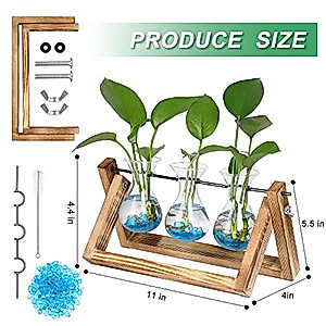 ONEPENG Propagation Stations,Birthday Gifts for Women,Home Garden Office Decor Plant Lover Gifts (3 Bulb Vase)