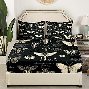 Butterfly Moth Insects Fitted Sheet Twin Size,Bug Beetles Entomological Bed Sheet for Kids Boys Teens Men Bedroom Decor,Nature Animal Bedding Set Retro Black Brown Deep Pocket Sheet,1 Pillowcase