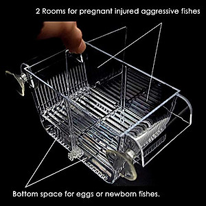 Qguai Fish Breeding Box, perfect fish tank divider acclimation box for aggressive fishes, nursery for injured, hatchery incubator breeder box for Shrimp cicilids eggs baby fishes (S ( 5.3*2.7*2.9" ))