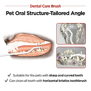 JAYU PET Dental Care Brush (Soft Bristles) 3ea - Toothbrush for Small Dog and Cat with Horizontal Head & Easy Grip Handle