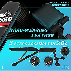 FLYBIRD Adjustable Weight Bench, Workout Benches for Home Gym, Sturdy Durable Comfortable Bench for Dumbbell Exercise Full Body Workout