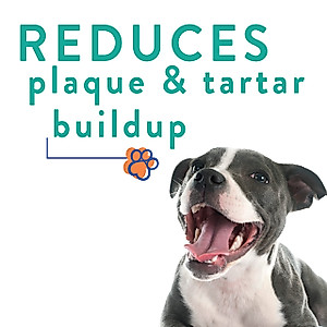 ProBesties Complete Dental Care for Dogs (sm), Probiotic Food Topper Dental Powder for Dogs - Bad Breath Treatment for Dogs - Dog Breath Freshener & Perio Support - Dog Bad Breath Eliminator