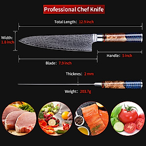 JunJing 8 inch Damascus Chef Knife, Damascus Steel Kitchen Chef Knife, Gyuto Chef Knife 67-layer High Carbon Stainless Steel with Ergonomic Resin Wood Handle