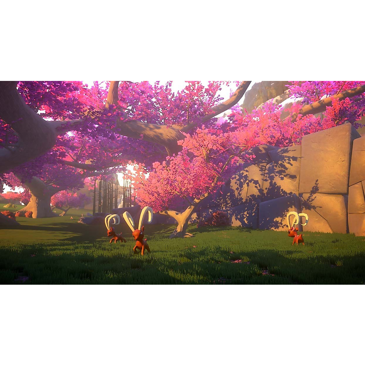 Yonder: The Cloud Catcher Chronicles