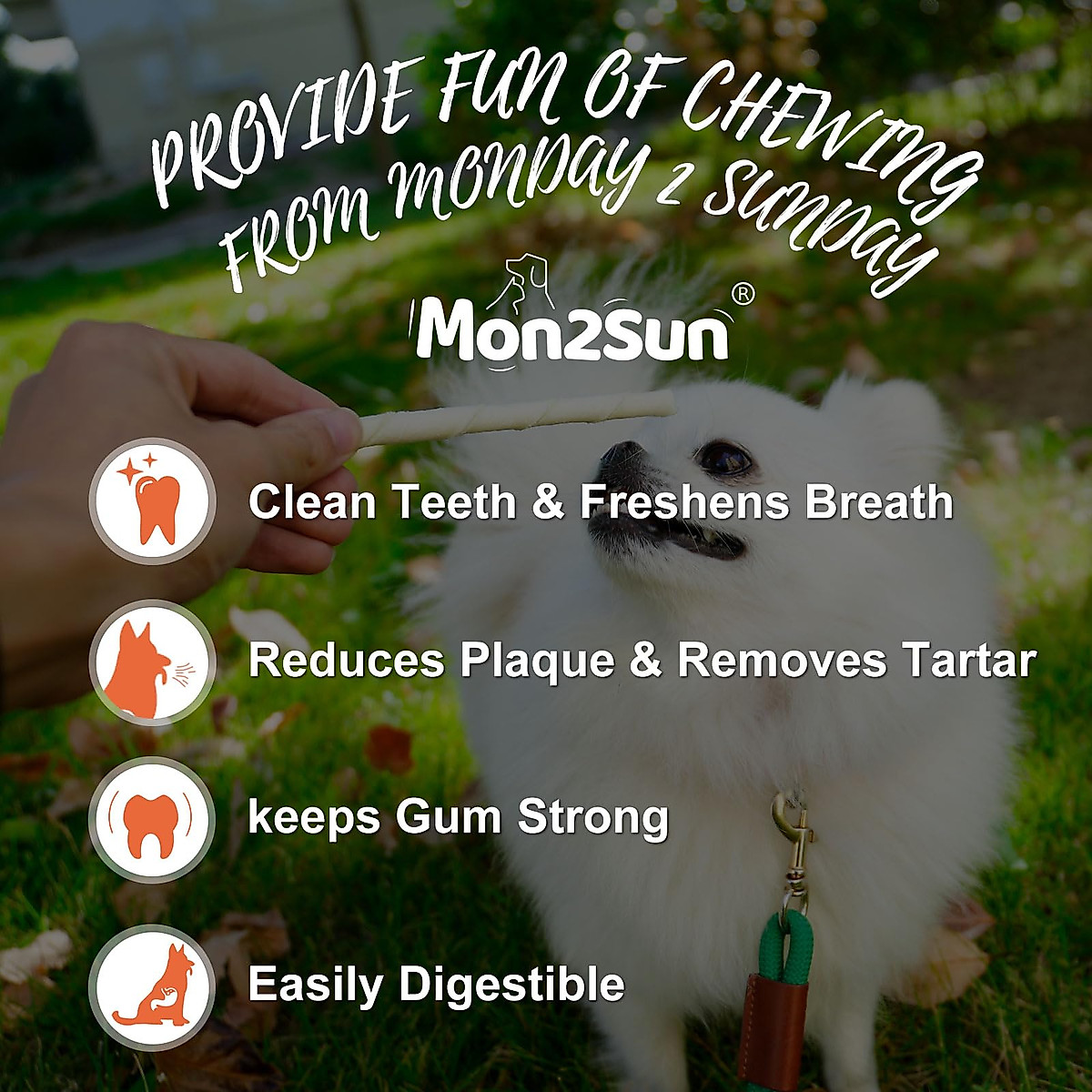 MON2SUN Dog Rawhide Twist Sticks Natural 5 Inch Thin Sticks Rawhide Chews Dog Treats for Puppy and Small Dogs 60 Count, 12.7oz