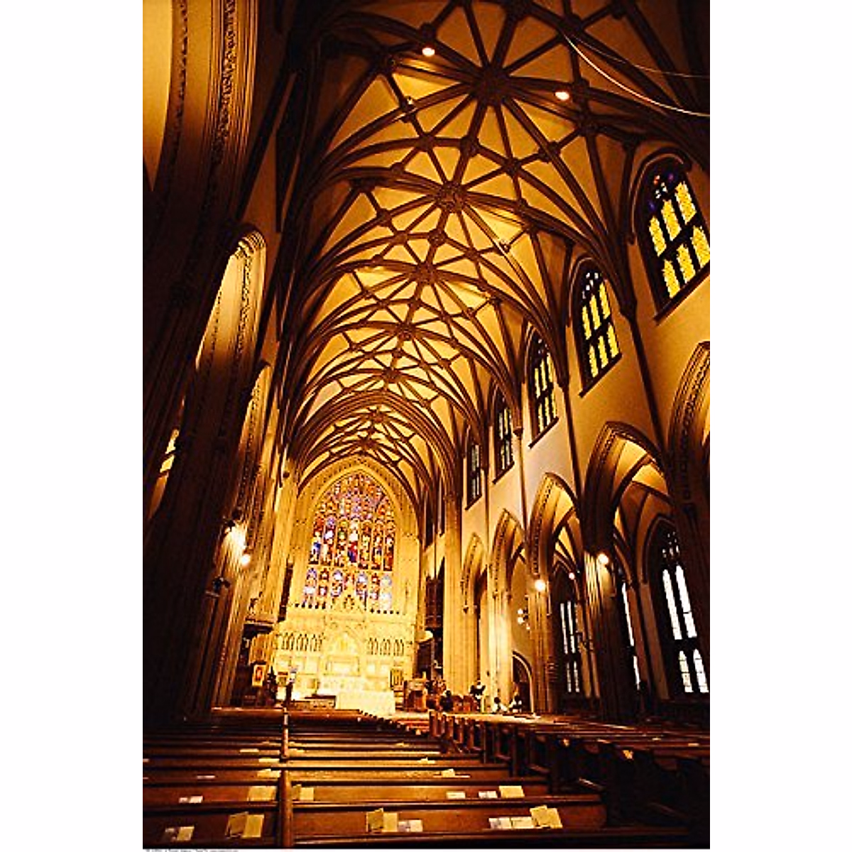 BAOMING Par56 LED Bulb Dimmable 28W Soft Warm White (2700~3000K) 120V GX16D Base, 120° Wide Flood Light, Replacement 300W MFL Par56 Halogen Light