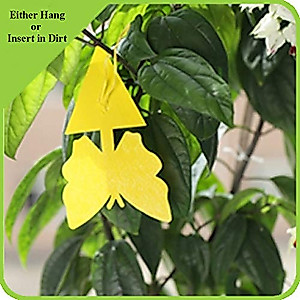 5 Pack - Sticky Yellow Butterfly Bug Traps for - Fruit Fly, Gnat Trap, White Flies, Mosquito, Fungus Gnats, Flying Insects Indoor/Outdoor Use