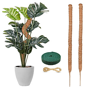 EcoNour Moss Pole for Plants - 28 Inches (2 Pack) | Monstera Plant Support for Vertical Growth | Indoor Climbing Plant Support for Potted Plants Like Pothos, Philodendrons, and More