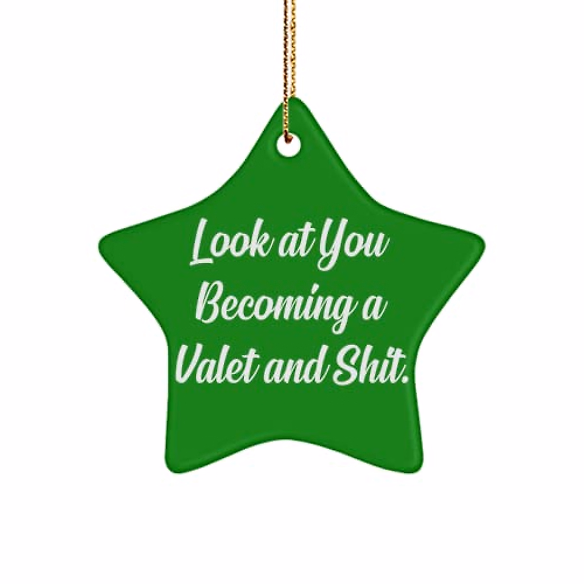 Reusable Valet , Look at You Becoming a Valet and Shit., Holiday Star Ornament for Valet
