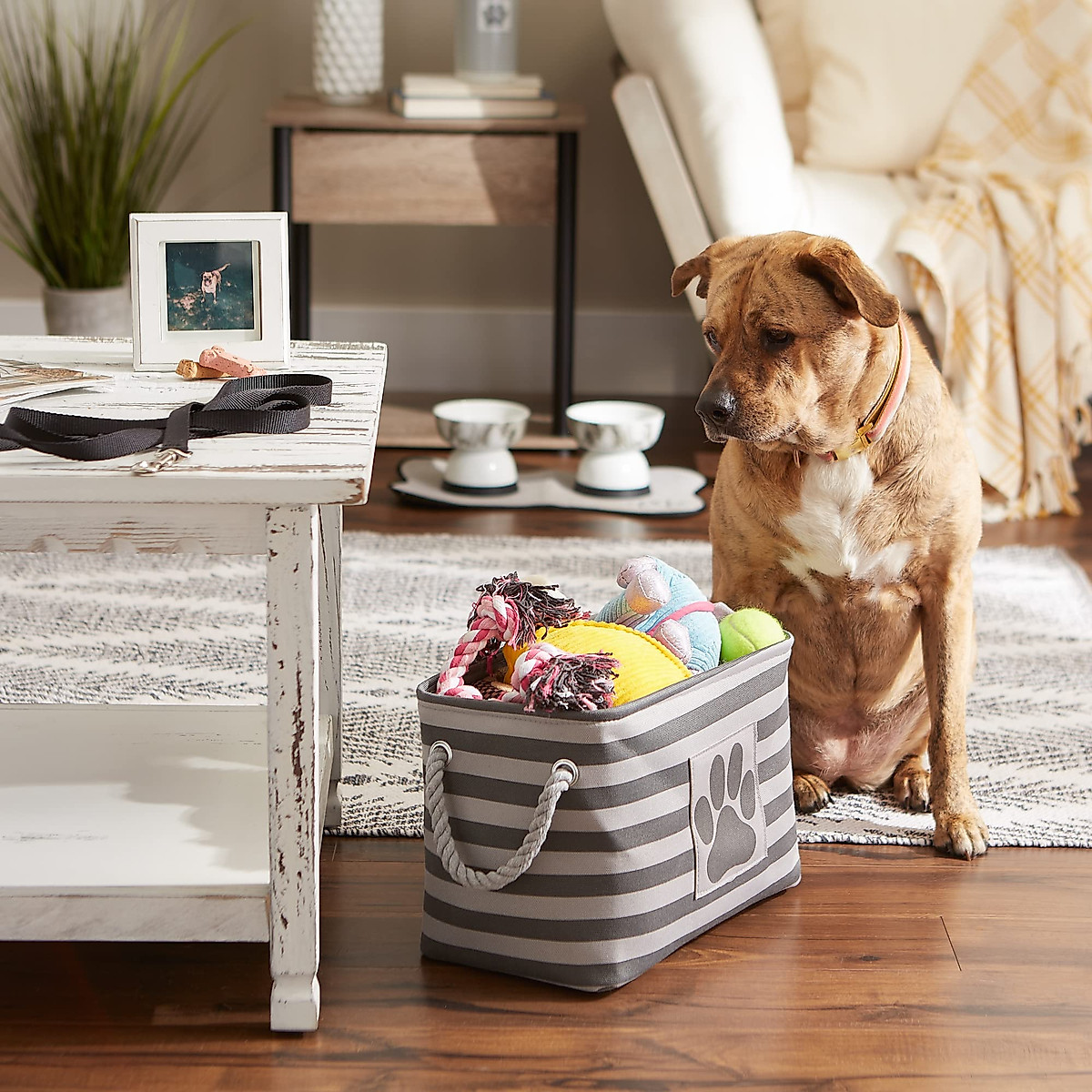 Bone Dry Pet Storage Collection Striped Paw Patch Bin, Small Rectangle, Gray